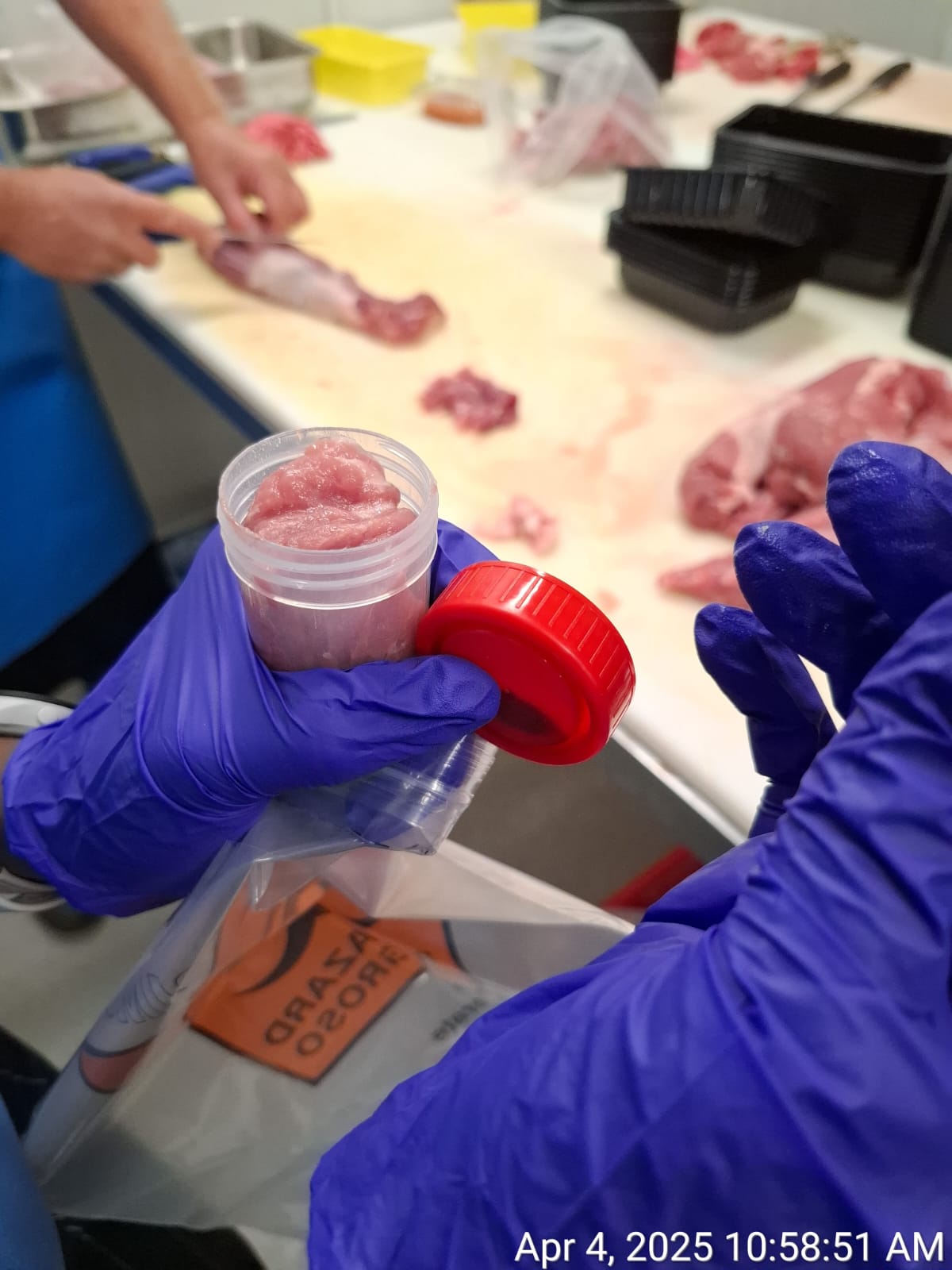 MUESTRA DI PRODUKTONAN ALIMENTISIO ANALISÁ NA BONEIRU MES! POR TÈST ...