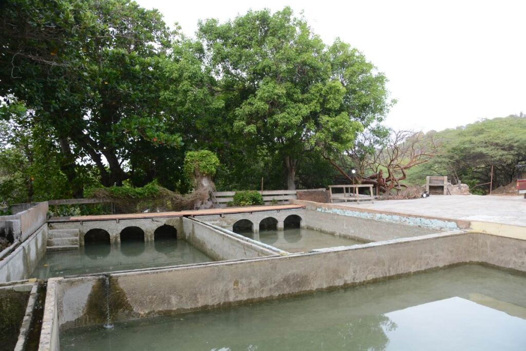 ENTIDAT PÚBLIKO BONEIRU TA TUMA AKSHON DESPUES KU A TOPA KU UN BURIKU ...